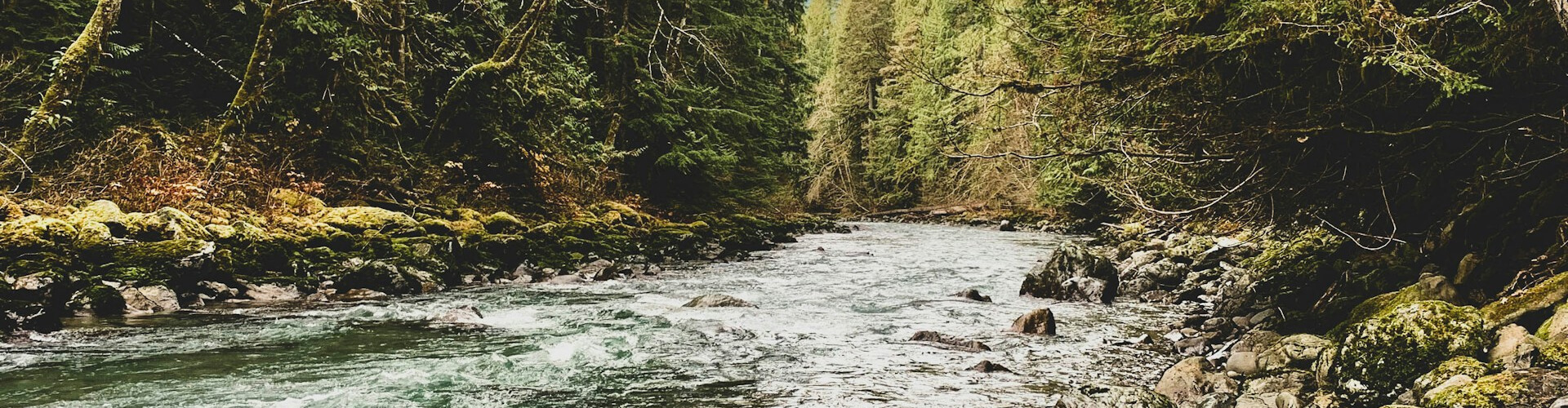 Understanding the WRIA 1 (Nooksack River) Adjudication: What Water ...